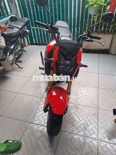 Honda MSX 125cc 2019 xe đẹp sơn zin 1 đời chủ - Muaban.net