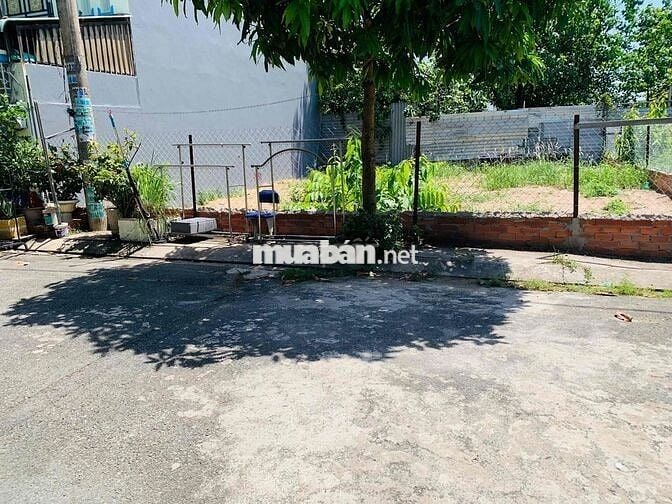 💯Chủ Giảm 200tr Lô Đất 11x15 Sổ Hồng Riêng -Chợ Đầu Mối - Muaban.net