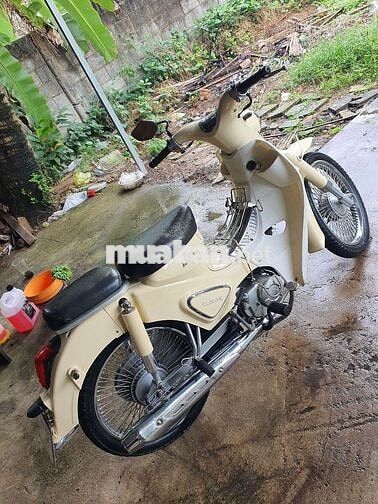 Cub Ally 50 2022 màu Kem chính chủ bao kí odo thấp - Muaban.net