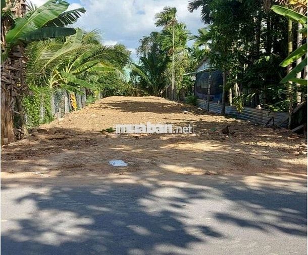 Ban dat mat tien nhua 6m,an thanh .phuong thuan an,gan cho bun - Muaban.net