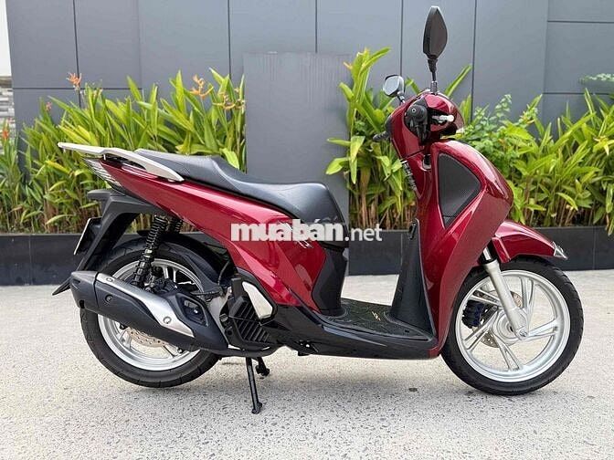 Sh 2019 xe cọp đi 17.000km - Muaban.net