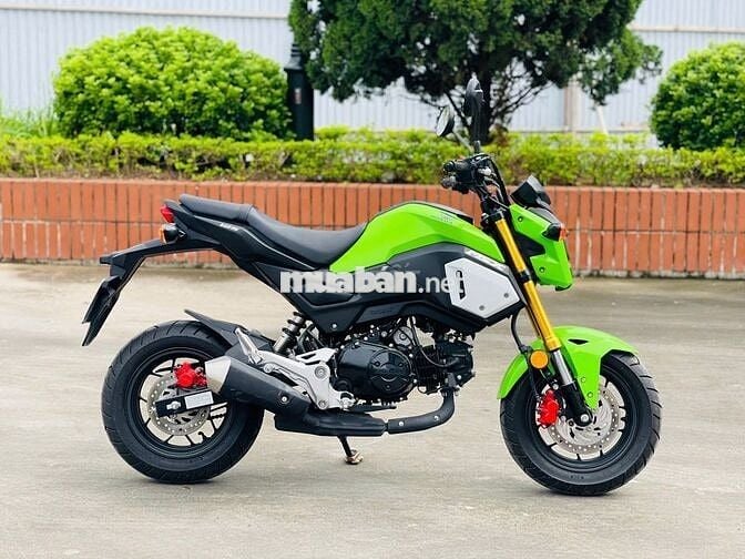 HONDA MSX 125 XANH LÁ CHẤT ĐẸP 2022 - Muaban.net